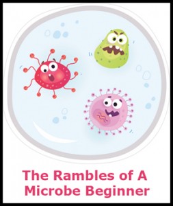 The Rambles of A Microbe Beginner – microBEnet: the microbiology of the ...