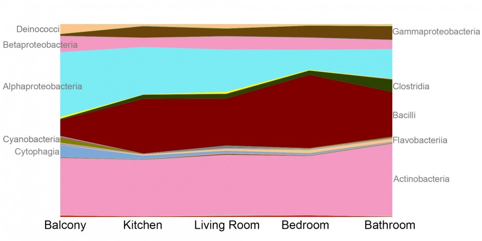 Bacteria in a university housing complex – microBEnet: the microbiology ...