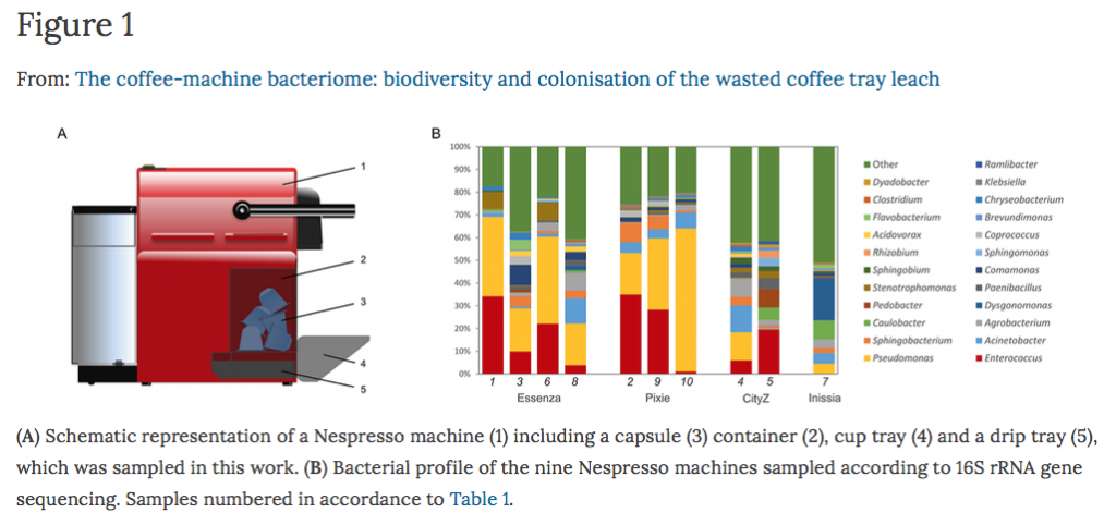 The microbiome of your coffee maker – microBEnet: the microbiology of ...