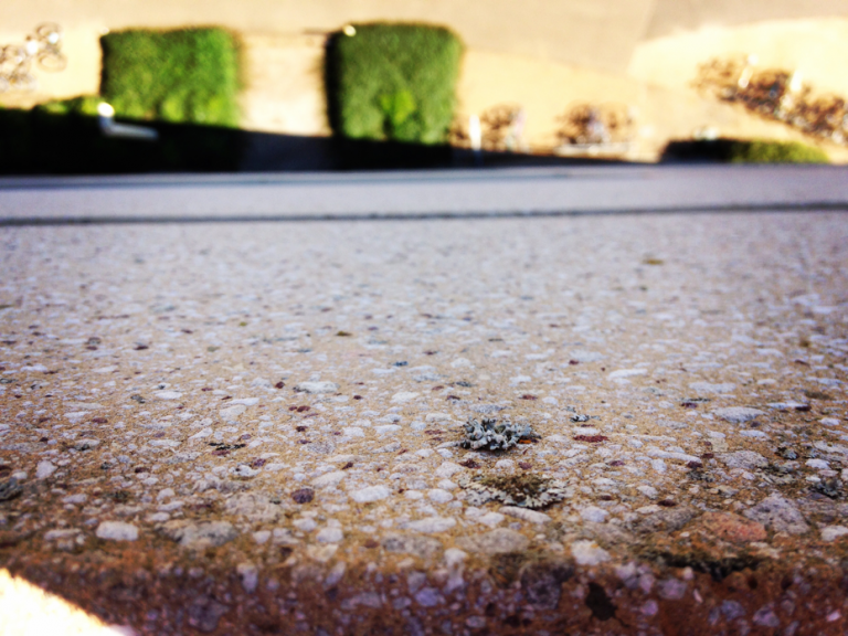 A Portrait of a Building and its External Inhabitants – microBEnet: the ...