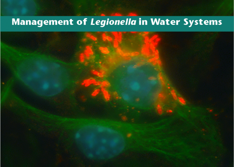 Legionella Report Release Webinar: August 14th, 11AM EDT – microBEnet ...